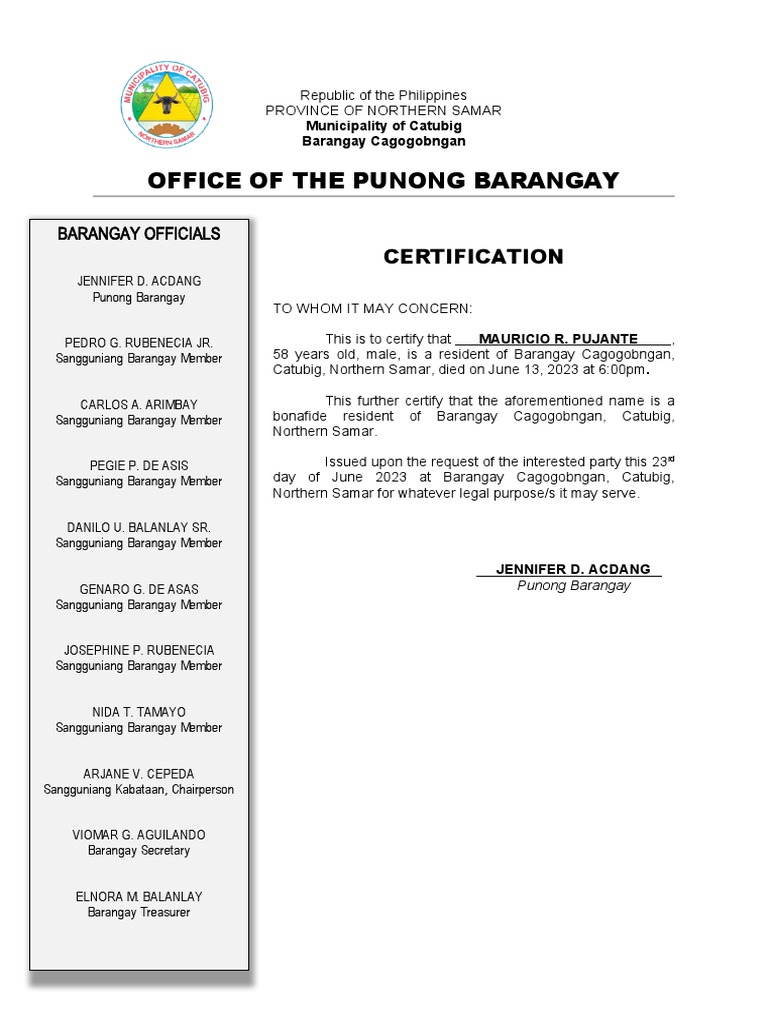 Barangay Certification Sample | PDF