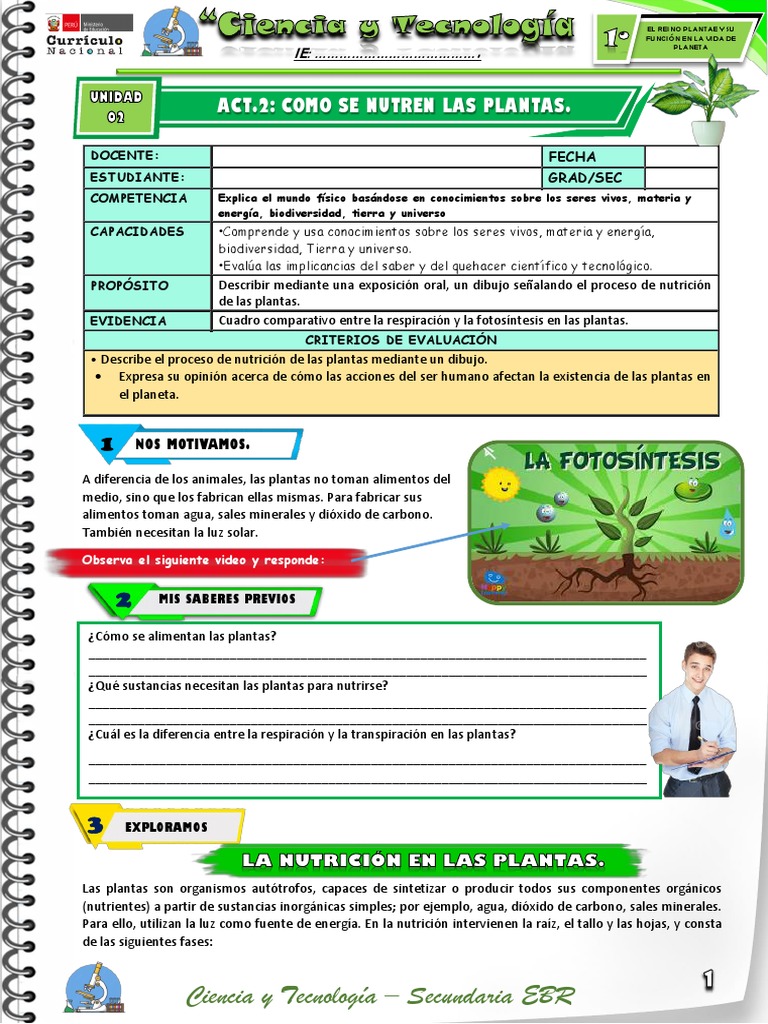 B-1º Act 2 Cyt Unid 2 - Sem 2 | PDF | Plantas | Raíz