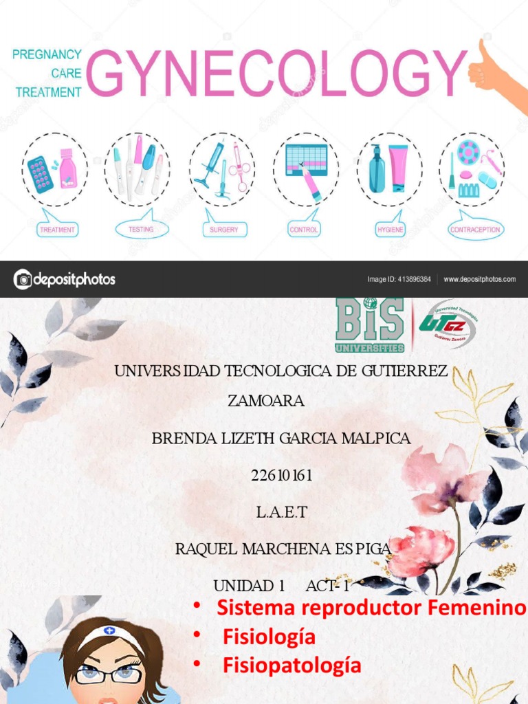 Presentación 1 | PDF