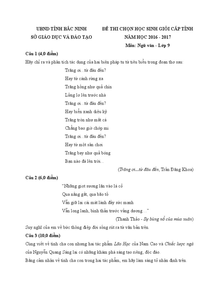 De Thi HSG Mon Ngu Van Lop 9 So GD DT Bac Ninh | PDF