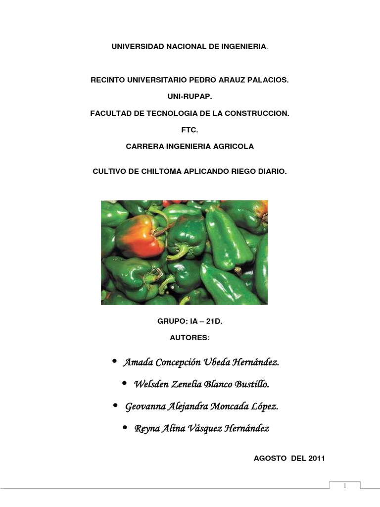 Cultivo de Chiltoma en Nicaragua | PDF | Amoníaco | Fertilizante