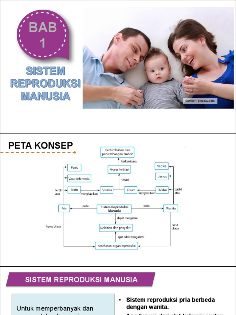 Bahan Ajar sistem reproduksi manusia | PDF