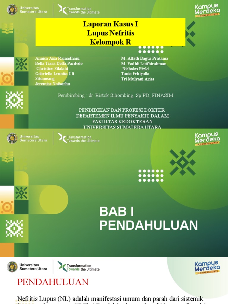 Lapkas 1 Ln Fixx | PDF