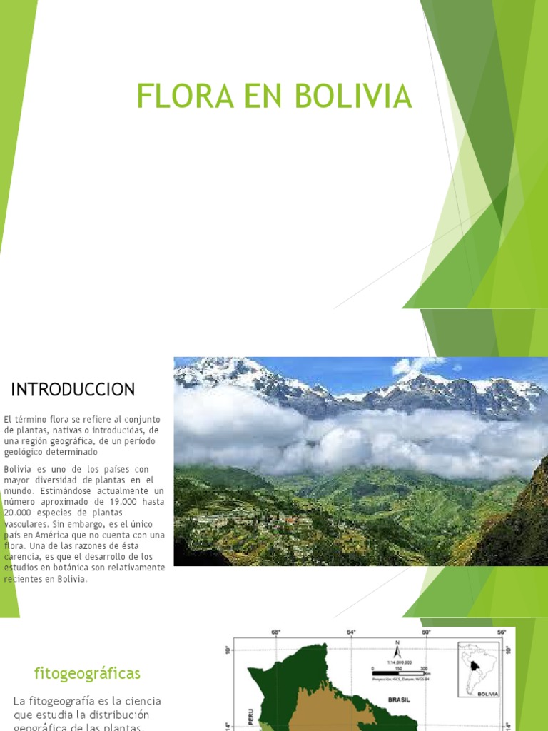 Flora en Bolivia | PDF | Fósil | lago