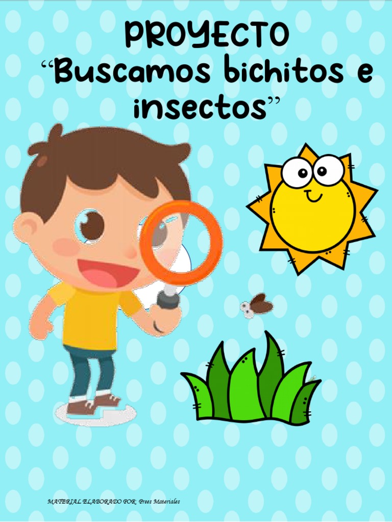 Proyecto de Insectos para Preescolar | PDF | Insectos | Conocimiento