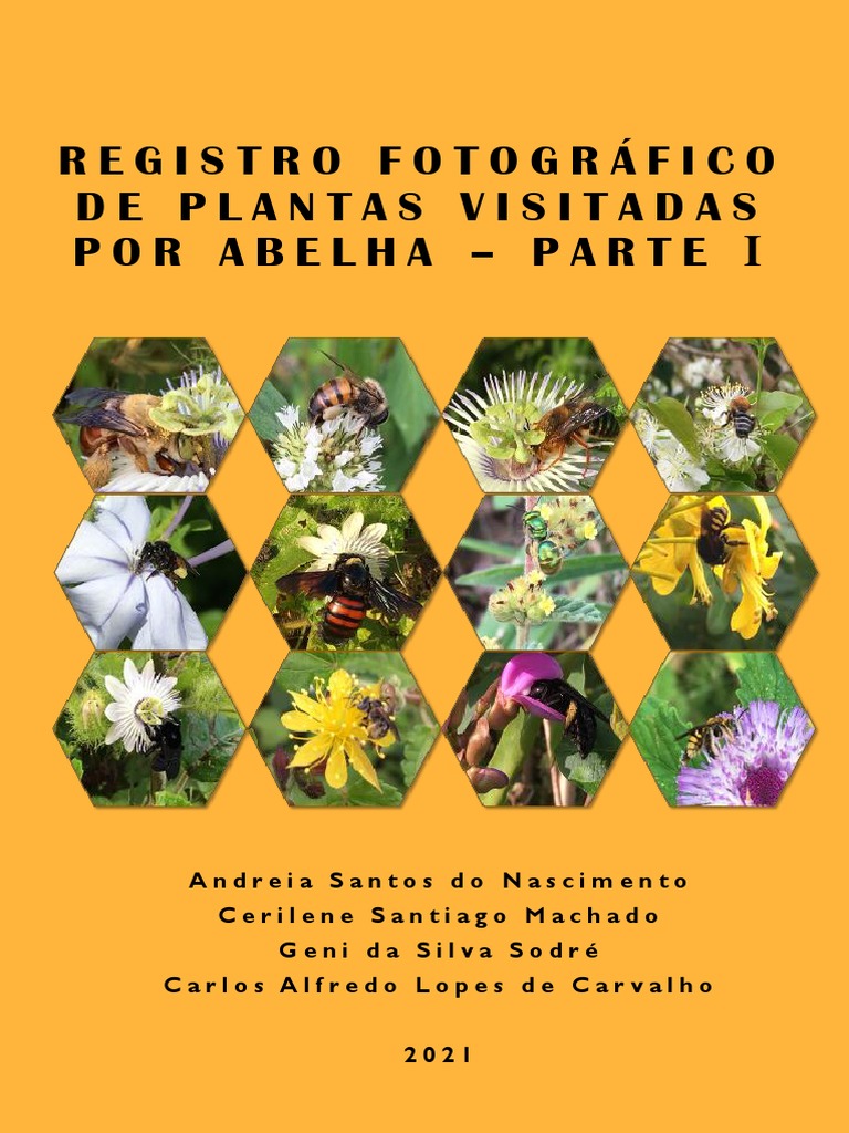 Registro Fotografico de Plantas Visitadas Por Abelha Parte | PDF | Polinizadores | Abelhas