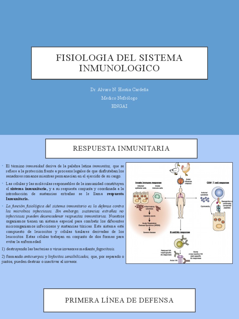 Fisiologia Del Sistema Inmunologico | Descargar gratis PDF | Sistema inmune | Complejo mayor de ...