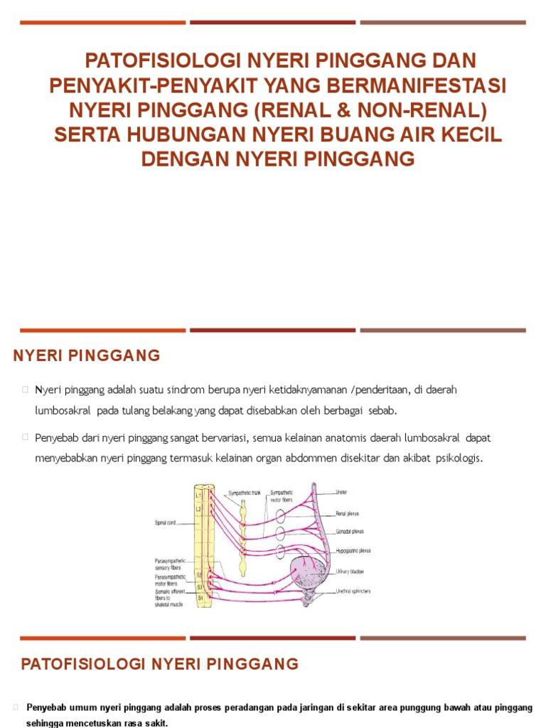 Patofisiologi Nyeri Pinggang dan Penyebabnya | PDF