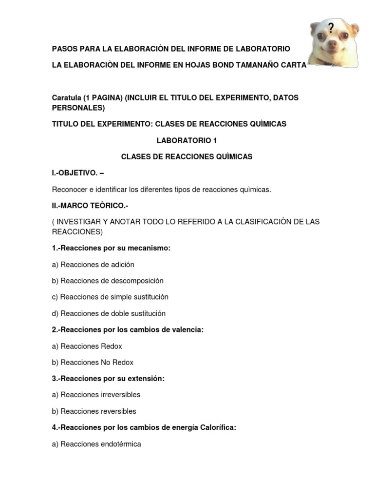 Informe de Laboratorio 1 Reacciones Quimicas | PDF | Ácido clorhídrico | Cloruro