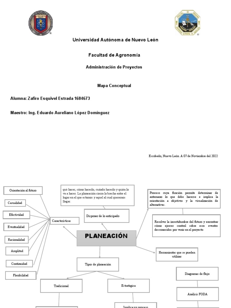 Mapas Conceptuales Ap | PDF | Planificación | Gestión de proyectos