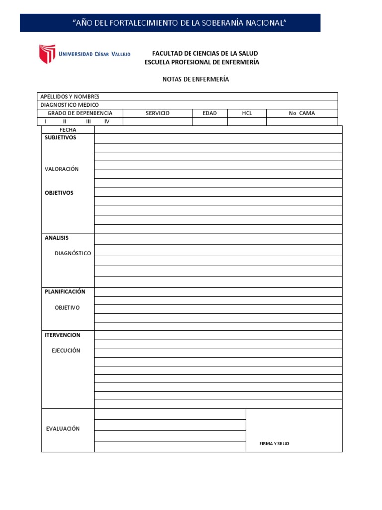 Modelo de Soapie - 2022 Ii | PDF