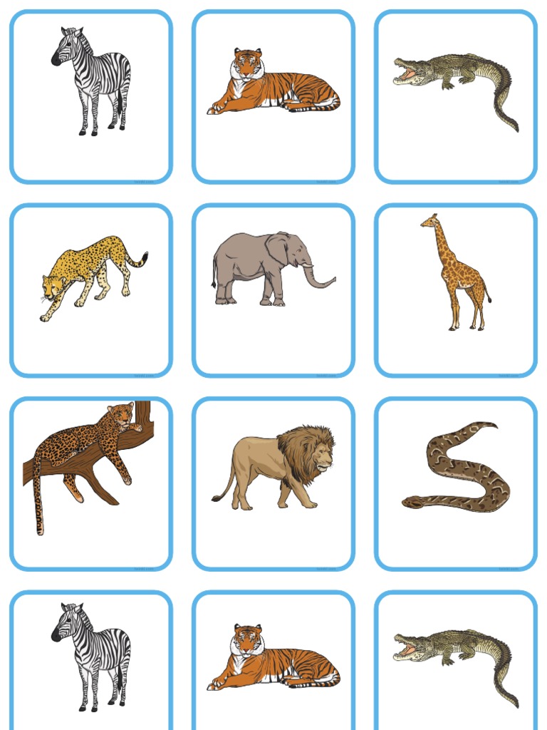 Cartonase Cu Imagini | PDF
