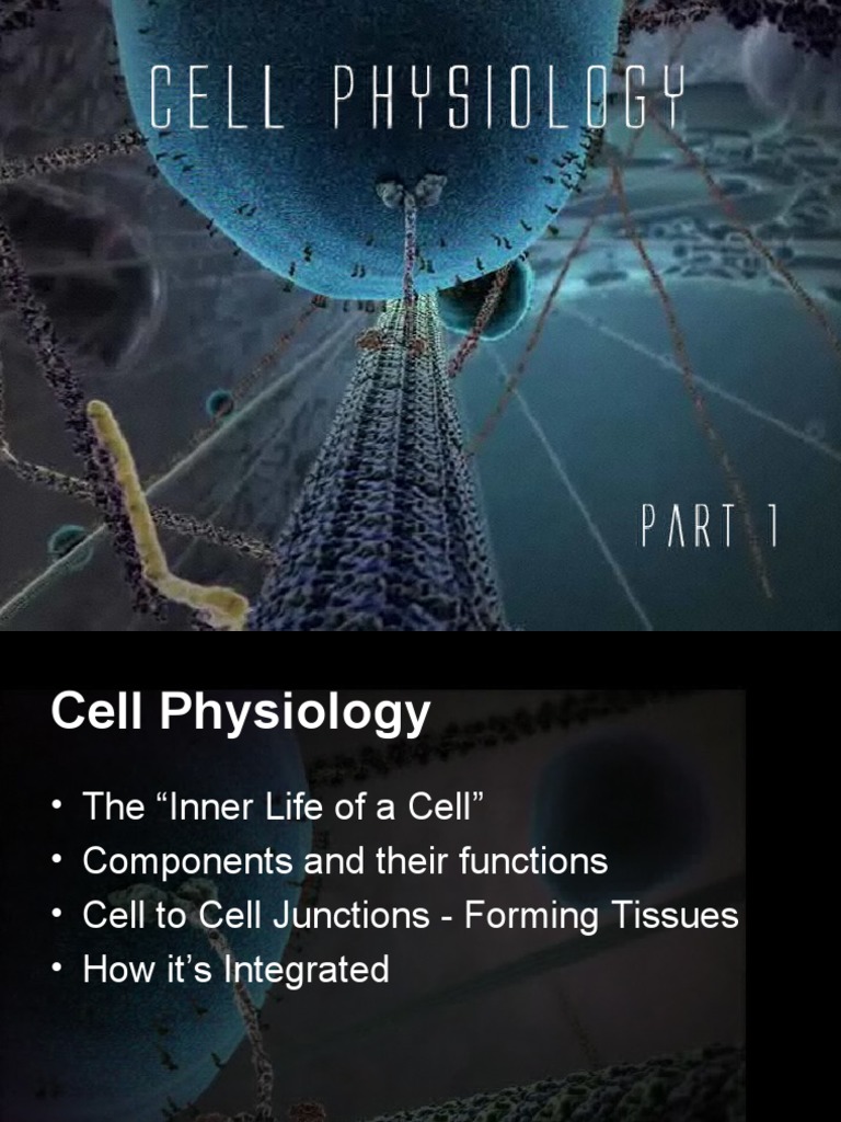 Cell Physiology | PDF | Cell Membrane | Cell (Biology)