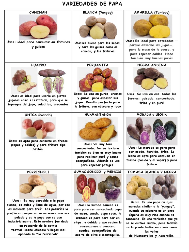 Variedades de papa: Huayro y usos | PDF | Patata | Cocina europea
