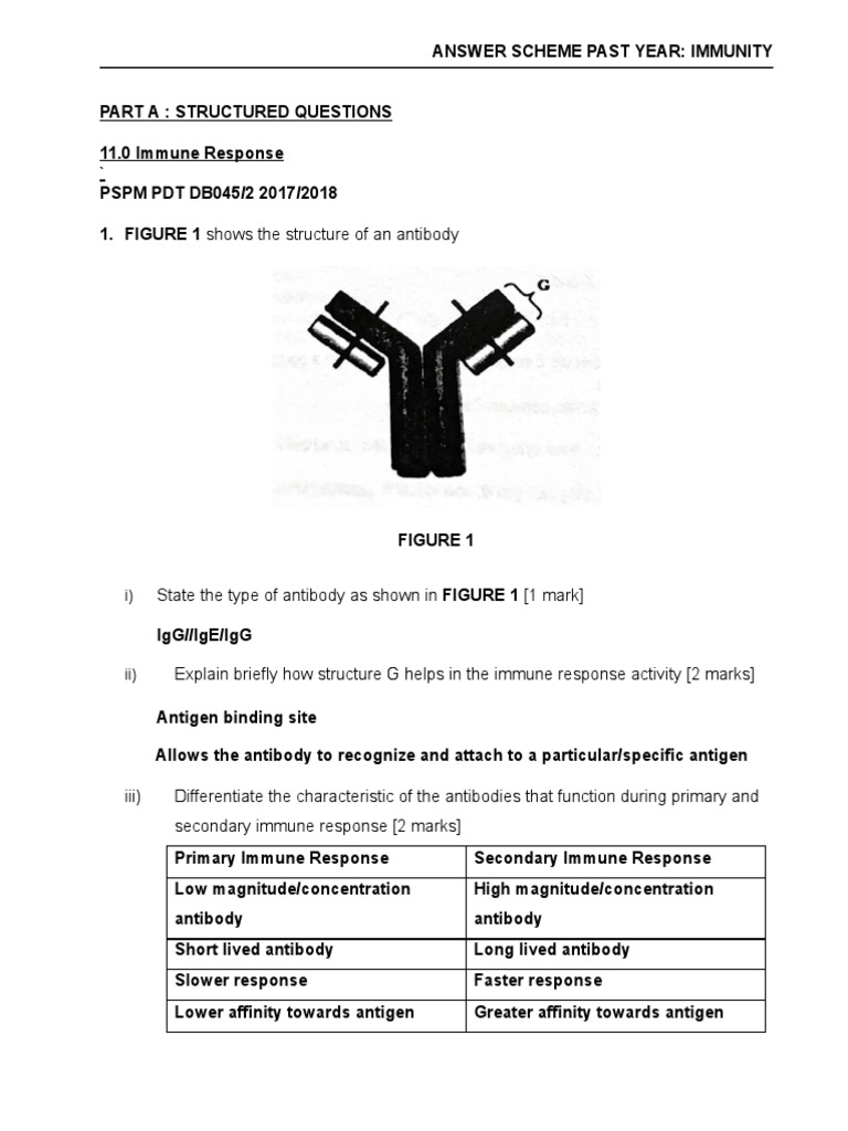 Immunity Questions and Answers | PDF | Immune System | Antibody