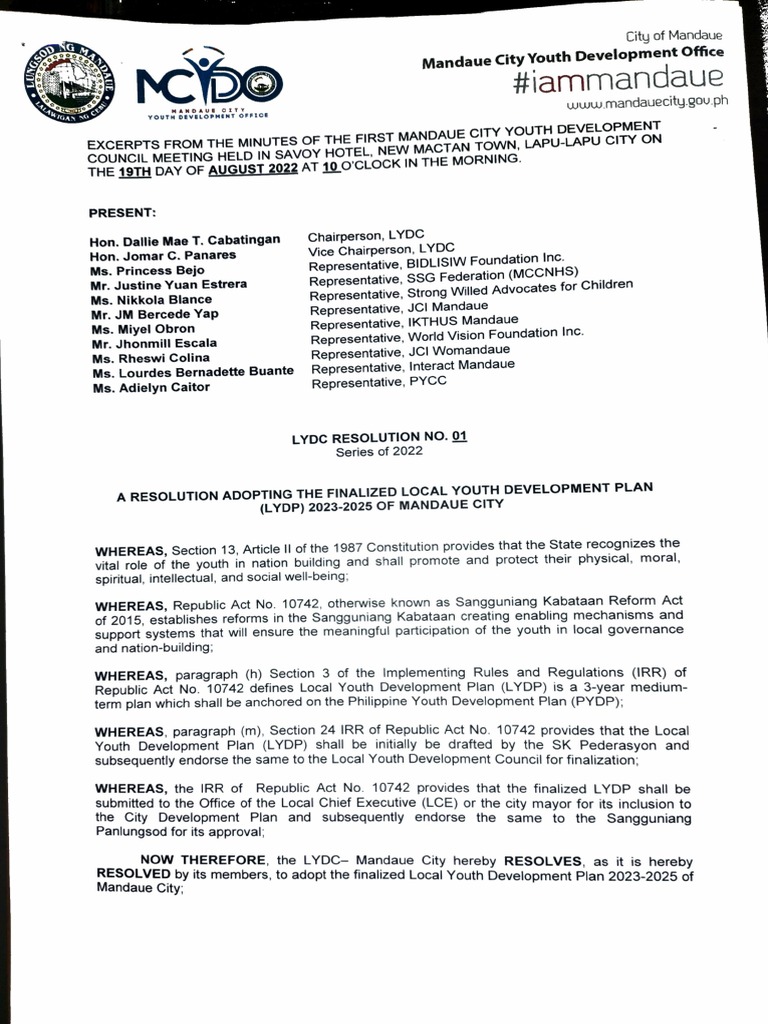 Mandaue City LYDP 2023 2025 | PDF | Pregnancy | Mental Health