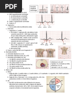 Guía para interpretar un ECG | PDF | Electrofisiologia | Sistema ...