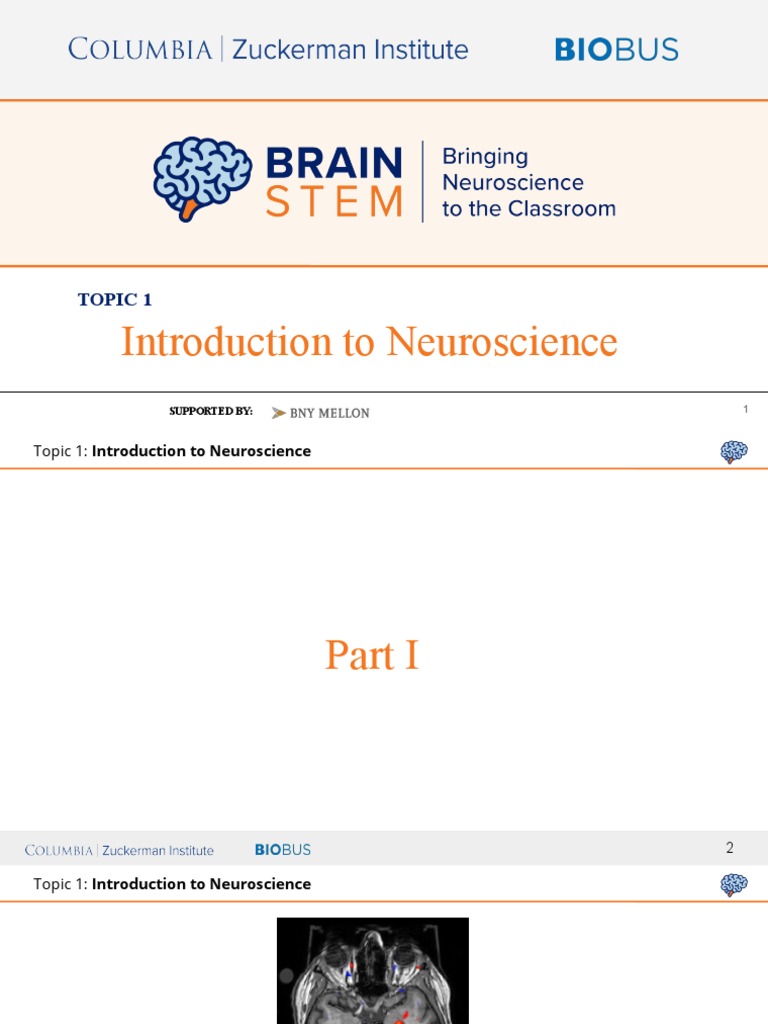 Neuroscience The Cradle of Mind | PDF | Neuroscience | Scientific Method