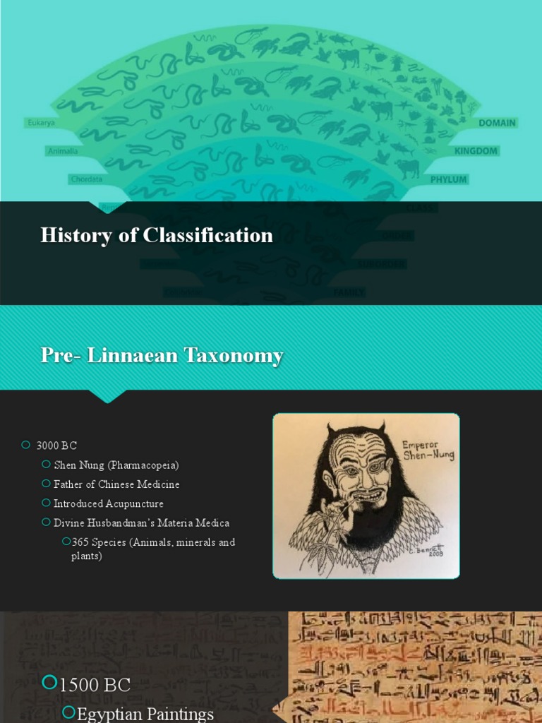 SYS0 - History of Classification | PDF | Biology | Biological ...