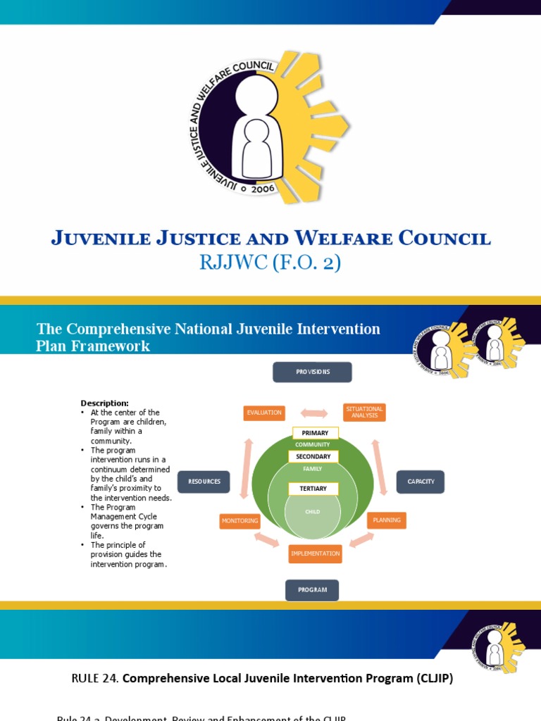 Comprehensive Local Juvenile Intervention Plan | PDF | Evaluation ...