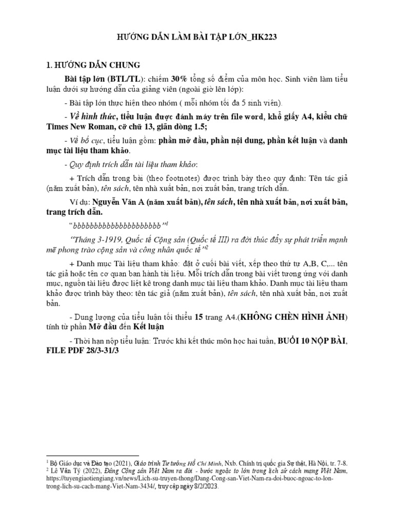 HƯỚNG DẪN LÀM BÀI TẬP LỚN HK 223 | PDF