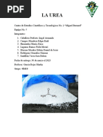 La Síntesis de La UREA | PDF | Urea | Sustancias químicas