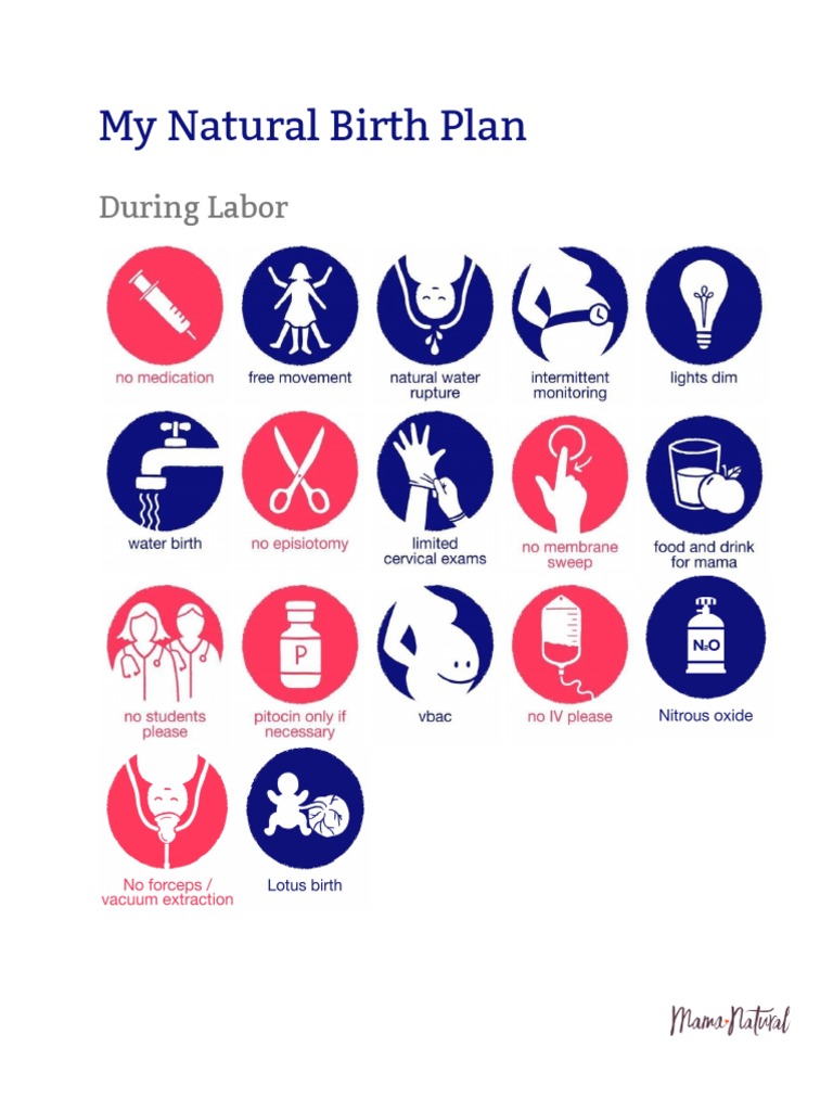 Mama Natural Visual Birth Plan Template | PDF
