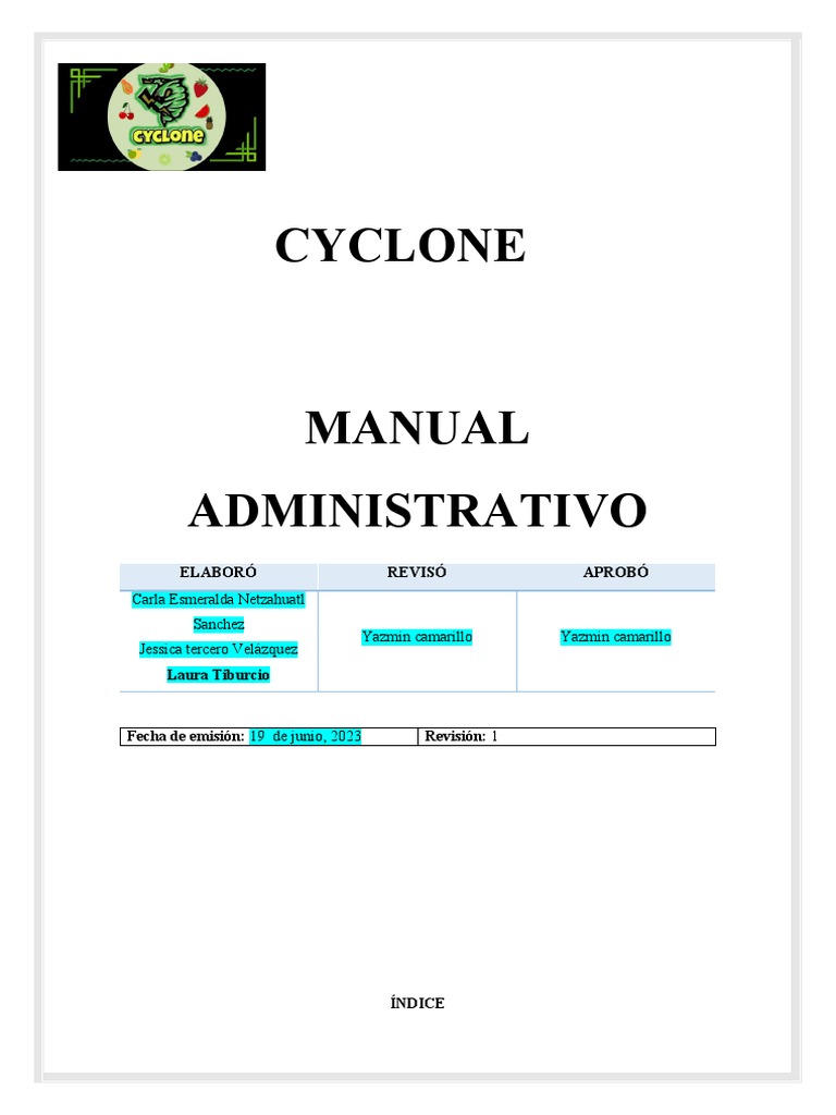 Formato Manual Administrativo | Descargar gratis PDF | Regulación | Gobierno