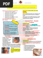 Tipos de Facies y sus Significados | PDF | Neoplasias | Cáncer