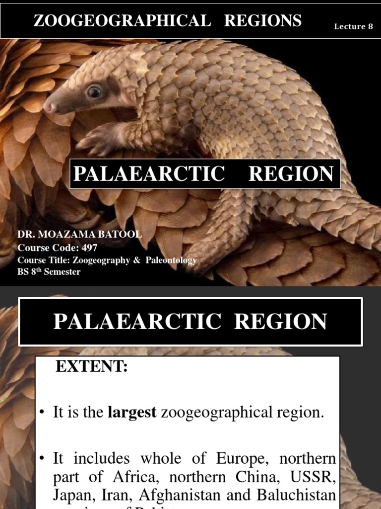 8-Palaeartic Region | PDF | Organisms