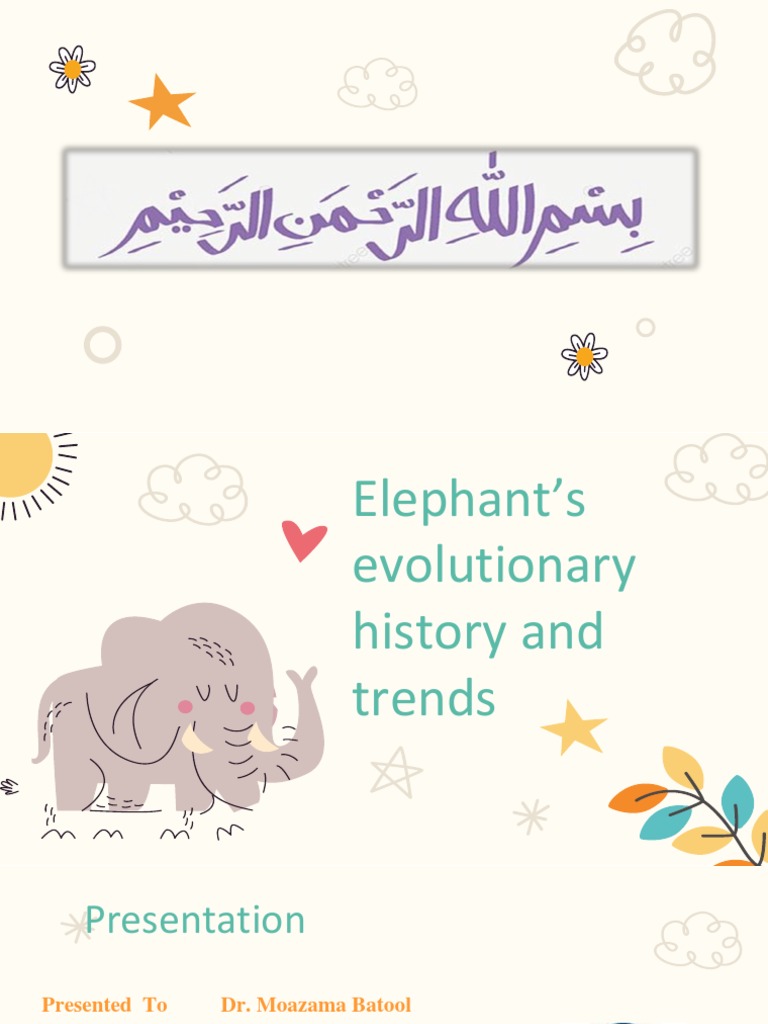 Evolutionary History of Elephant | PDF | Elephant
