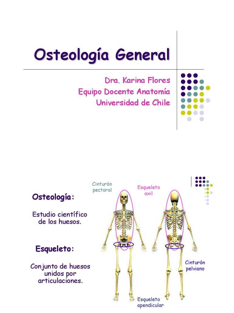 Osteologia | PDF | Hueso | Sistema musculoesquelético