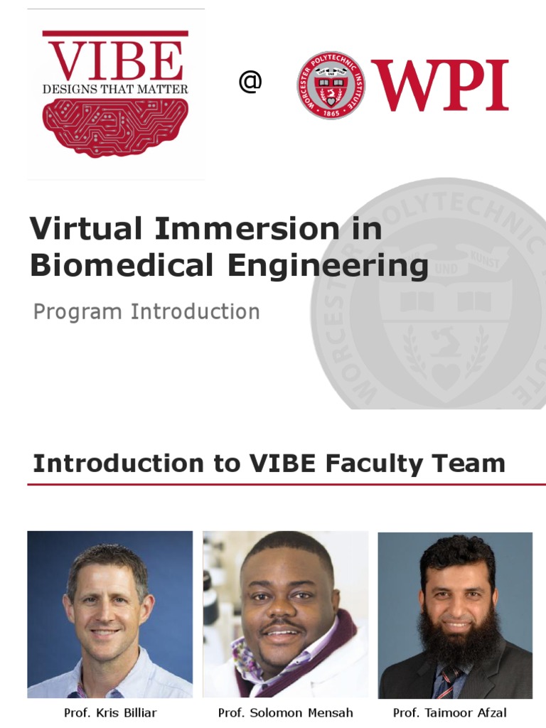 Introduction to VIBE_May_30_2023 | PDF | Medical Diagnosis | Health ...