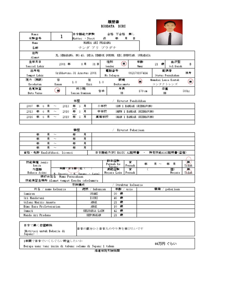 Cv Ulfa jepang | PDF