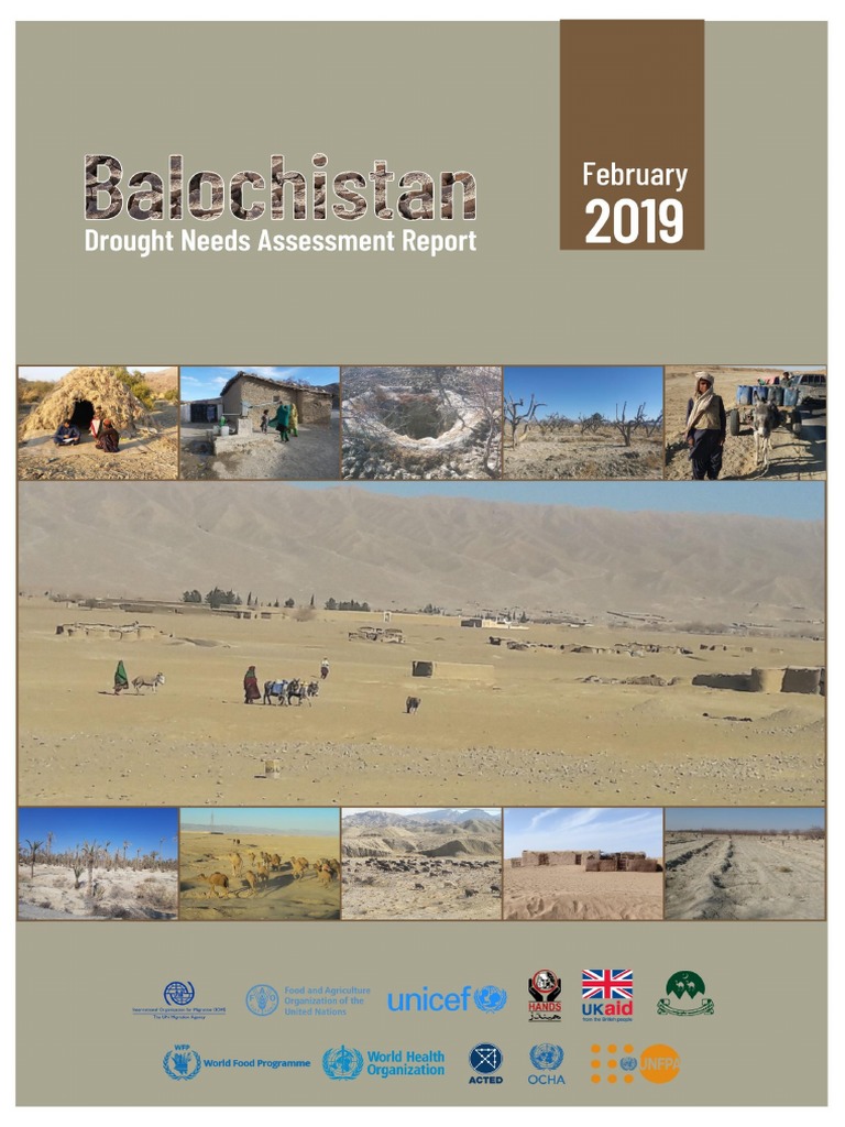 Balochistan Drought Needs Assessment 2019 | PDF | Food Security ...