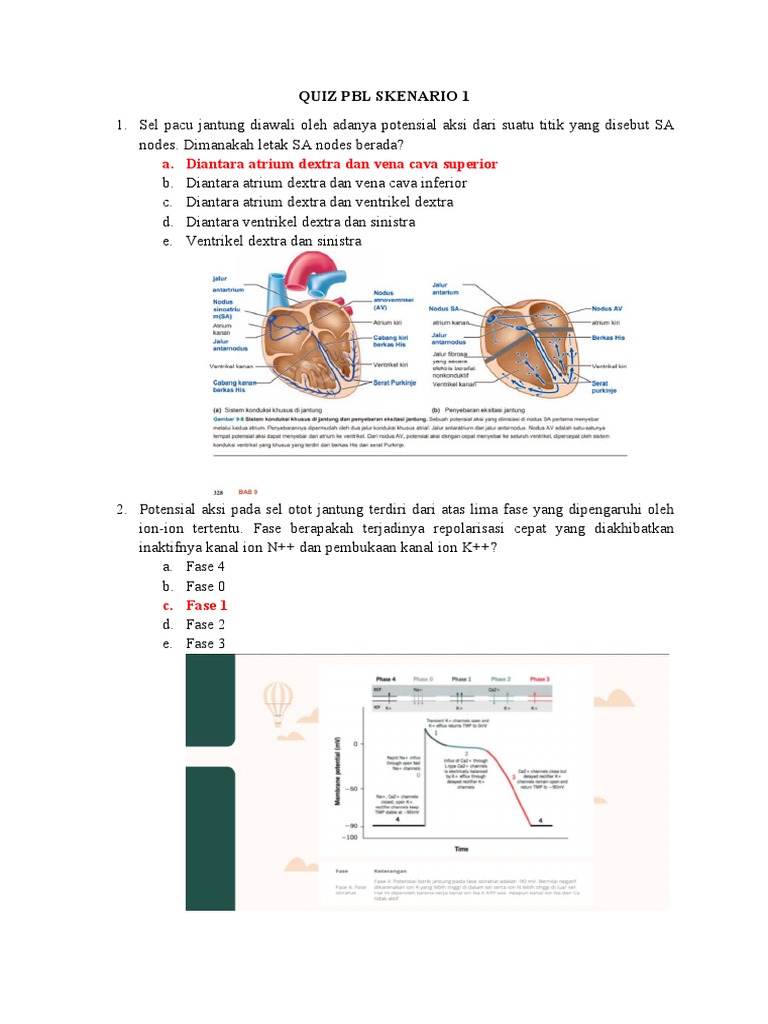Quiz SK1-SK5 Uncolor | PDF