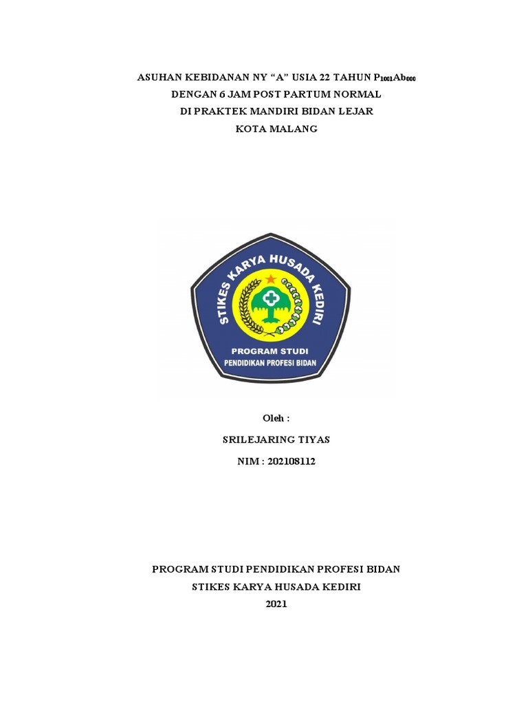 13.lejar - Nifas Normal - Stase 5 | PDF