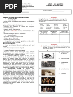 Theatre History Unit With Handouts | PDF | Theatre | Mask