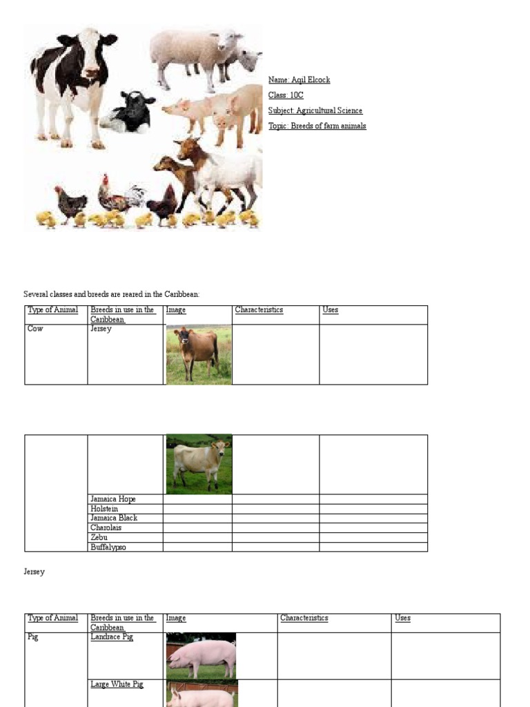 Breeds of Farm Animals | PDF | Agriculture | Breeds