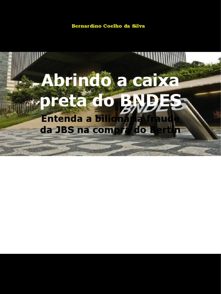 Abrindo A Caixa Preta Do BNDES | PDF | Business | Economias