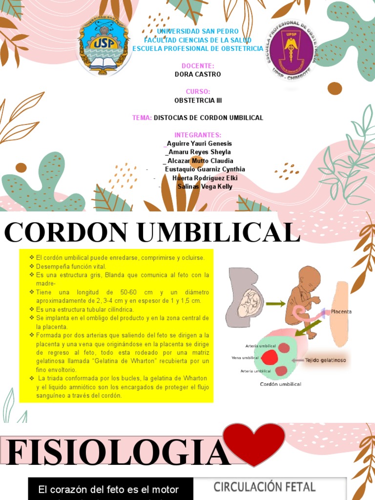 DISTOCIAS DE CORDON UMBILICAL | PDF | Placenta | Feto