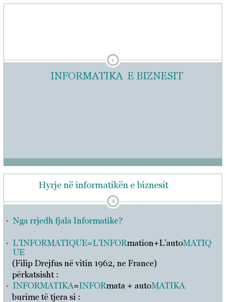 Informatika e Biznesit | PDF