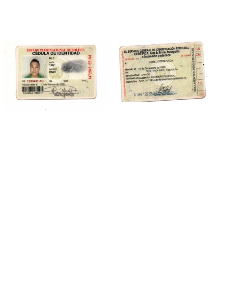 Ing. René Joffré | PDF