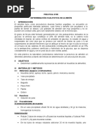 TP Reaccion de Hill 2021 | PDF | Fotosíntesis | Biología