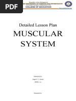 Detailed Lesson Plan Skeletal System | PDF | Bone | Anatomy