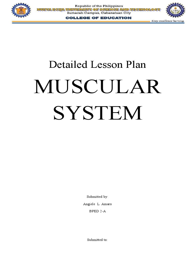 Lesson Plan | Download Free PDF | Skeletal Muscle | Skeleton
