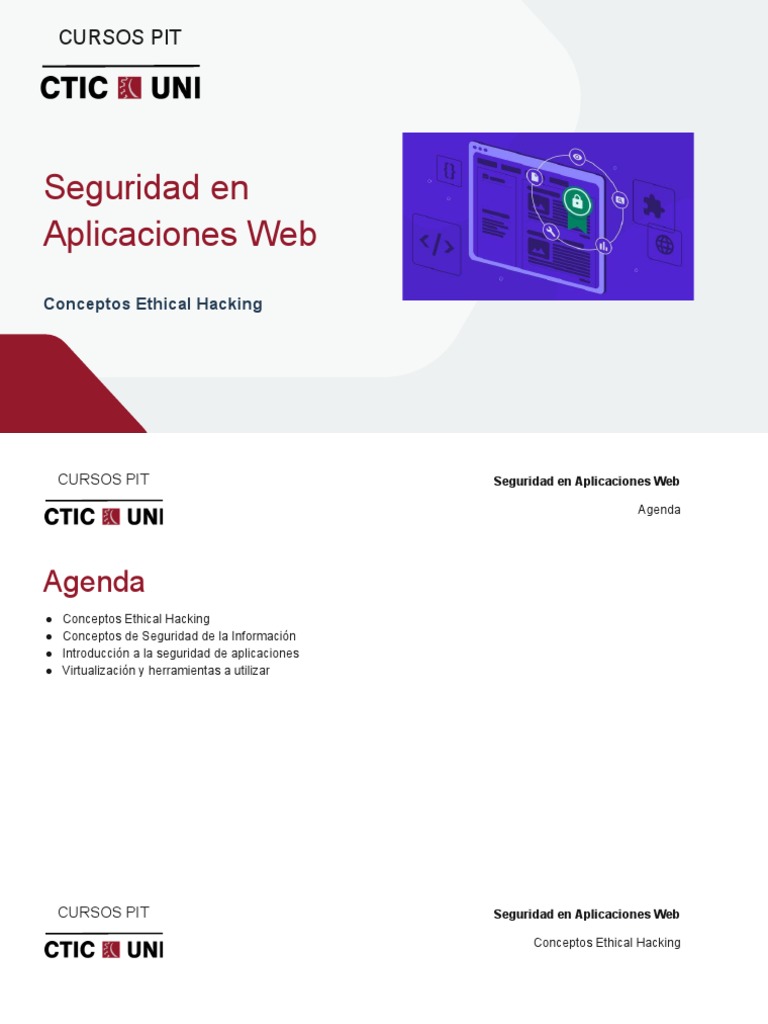 Seguridad en Aplicaciones Web | PDF | Hacker de seguridad | Software de la aplicacion