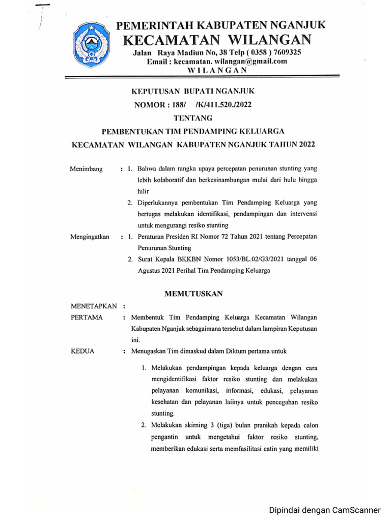 SK Tim Pendamping Keluarga | PDF