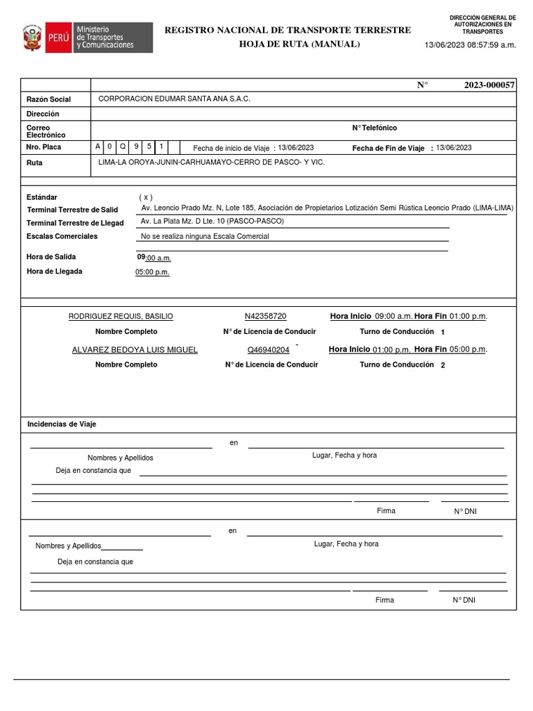 Hoja de Ruta Manual | PDF