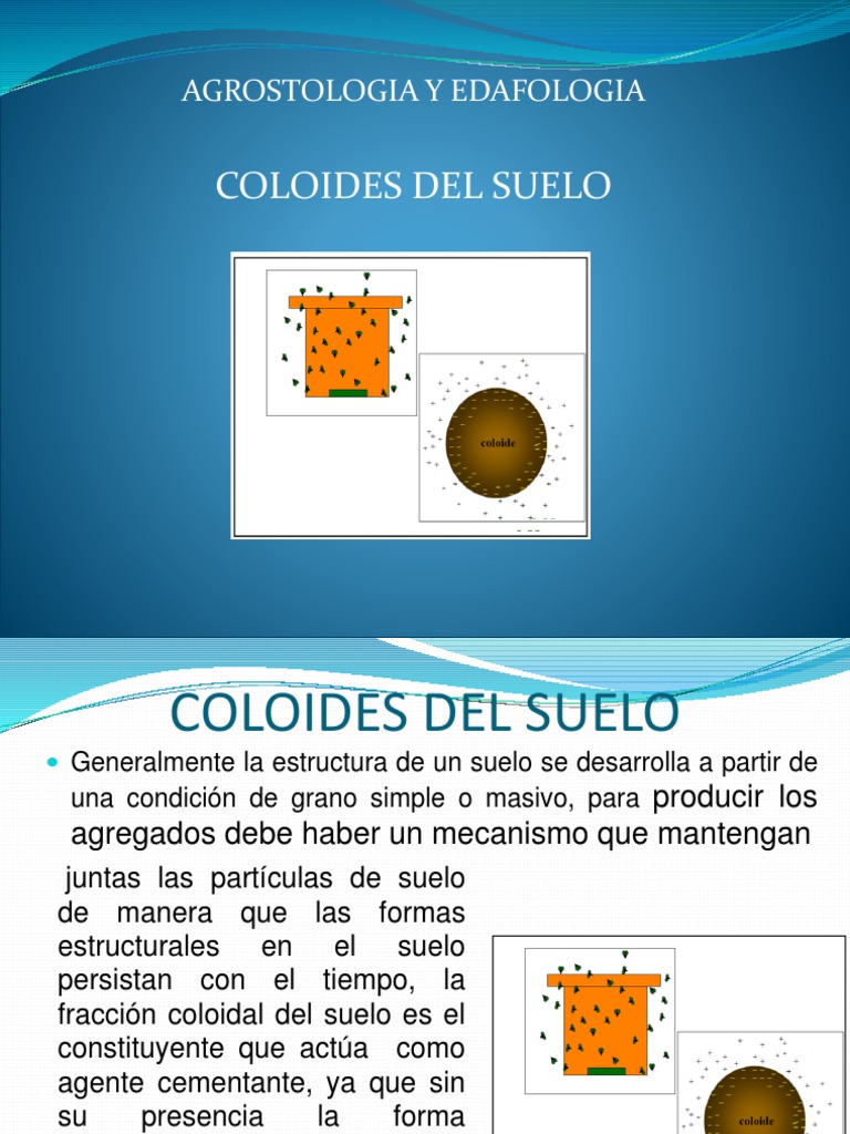 Coloides Suelo | PDF | Coloide | Suelo